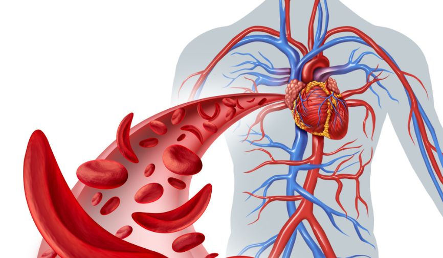 Inherited Heart Conditions You Might Not Know About